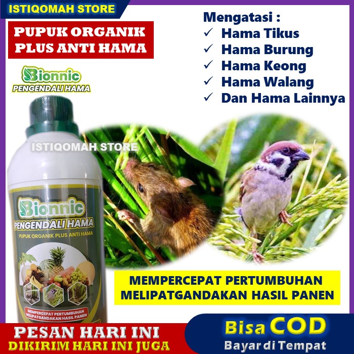 Jual BIONNIC 500ml Obat Hama Tikus Pada Tanaman Padi - Obat Pengusir ...