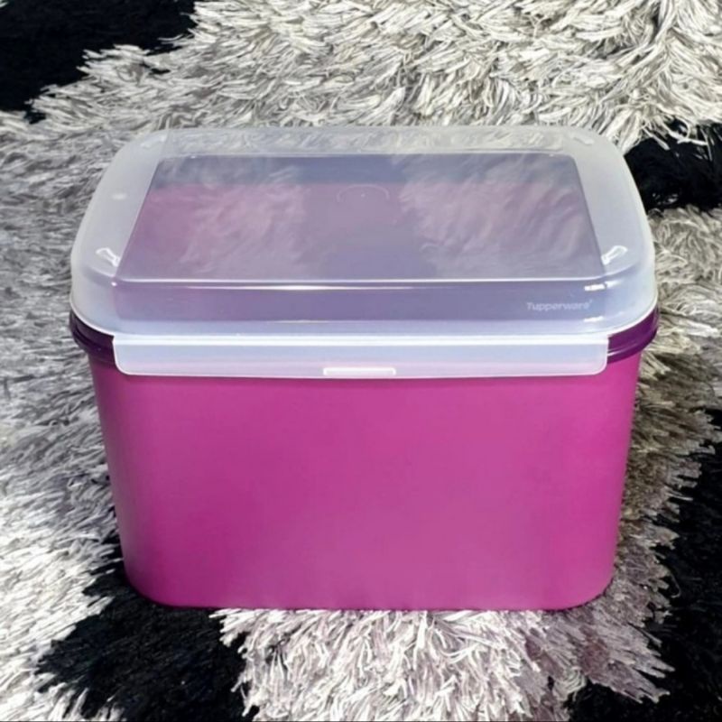 Jual Ezy Keeper Tupperware Signature Line | Shopee Indonesia