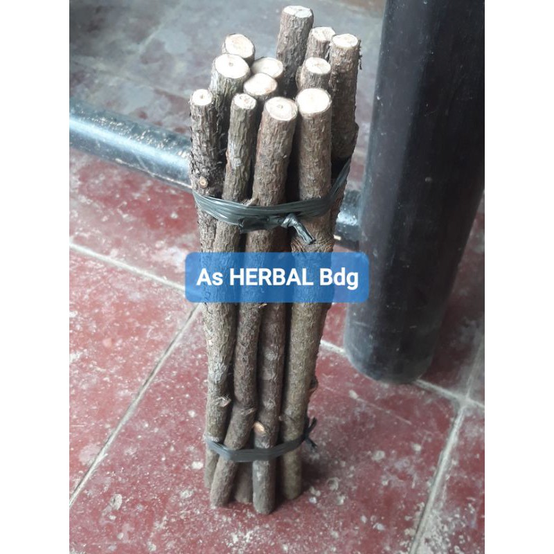 Jual Ranting batang pohon pinus media tanam hiasan aquarium per 1 ikat ...