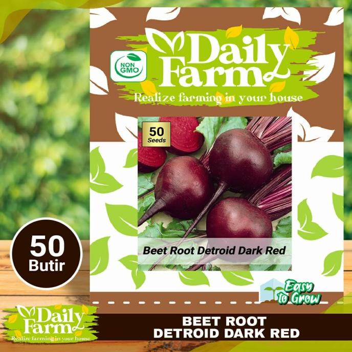 Jual Benih Sayur Beet Root Detroid Dark Red - Daily Farm | Shopee Indonesia