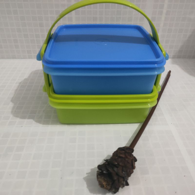 Jual Tupperware small carry all set | Shopee Indonesia
