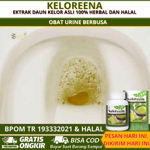 Jual Obat Urine Berbusa Warna Kuning, Kencing Berbusa, Sakit Ginjal ...