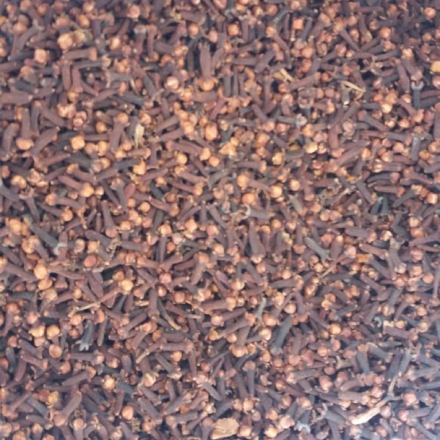 Jual Cengkeh ( 1/2 KG ) | Shopee Indonesia