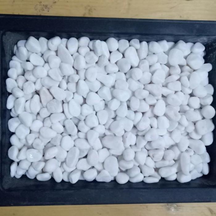 Jual Batu Putih Salju 10 KG (Batu Alam Koral Sikat Hias Taman) | Shopee ...