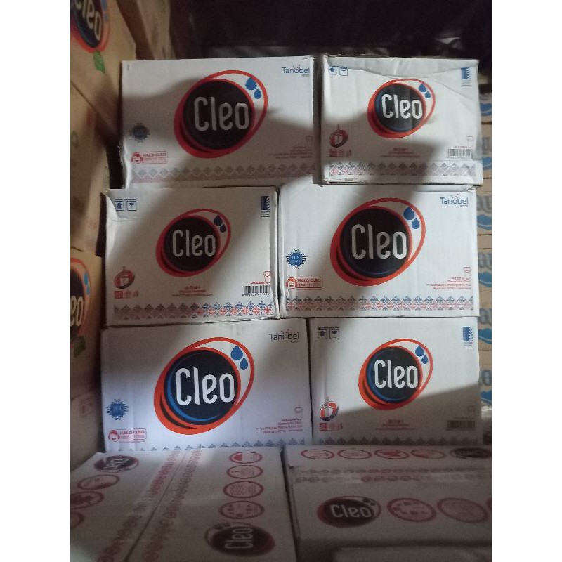 Jual Cleo Air Mineral Gelas 220ml 1 dus isi 40 cup | Shopee Indonesia