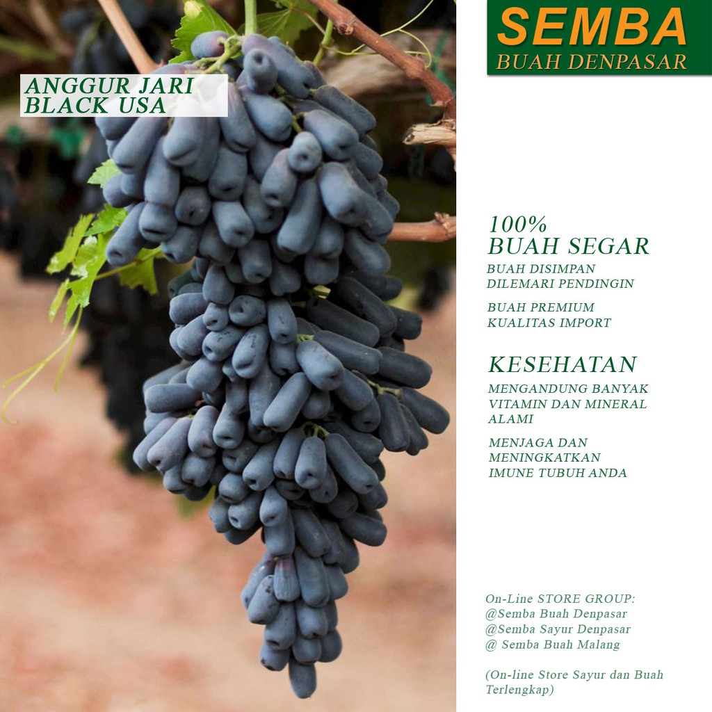 Jual ANGGUR BLACK JARI USA buah fruit sayuran sembako food makanan ...