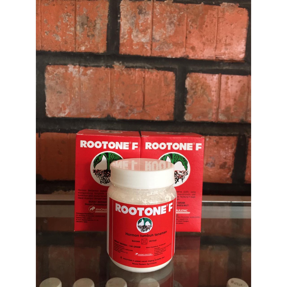 Jual Rootone F 100 gram+Dus Hormon Untuk pertumbuhan Akar Mengandung ...