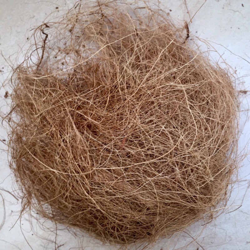 Jual Serat Serabut Sabut Kelapa Cocofiber Coco Fiber untuk Media Tanam ...