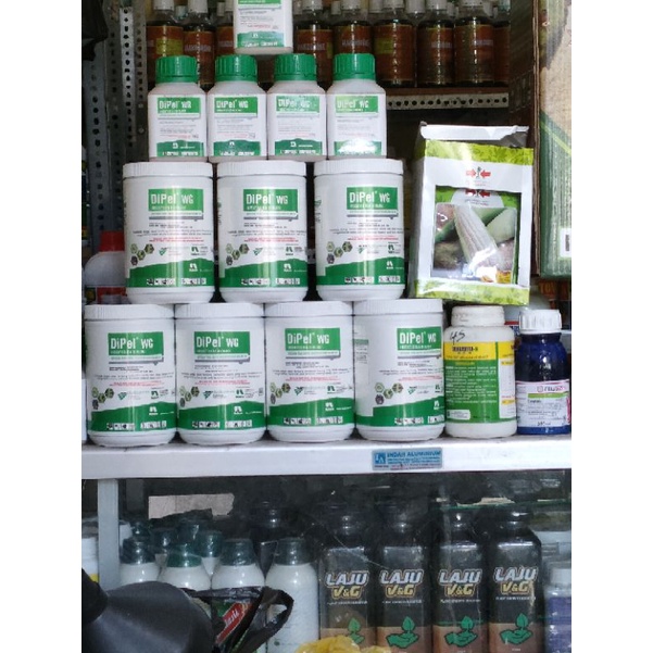 Jual DiPel WG | Shopee Indonesia