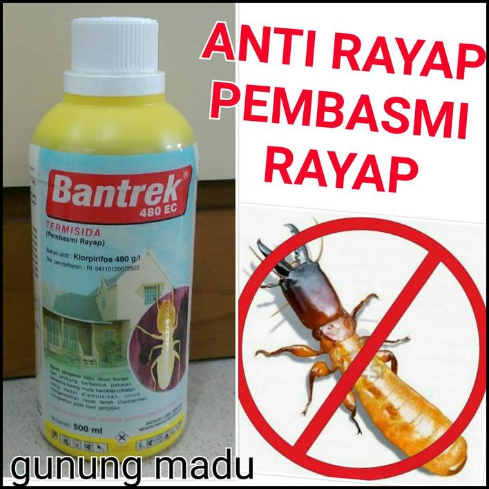 Jual Obat Anti Rayap - Anti Rayap Bantrek 480 Ec / Pembasmi Rayap ...