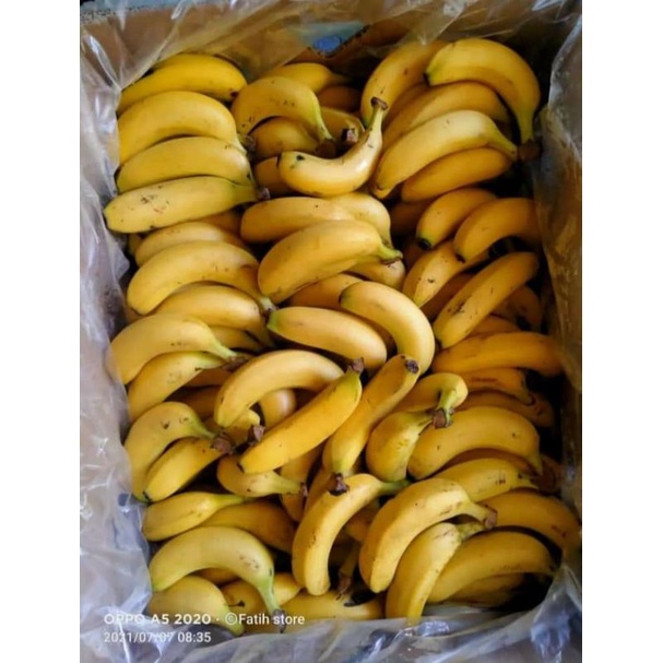 Jual pisang sunpride cavendish 1 dus grosir berat 13 kg | Shopee Indonesia