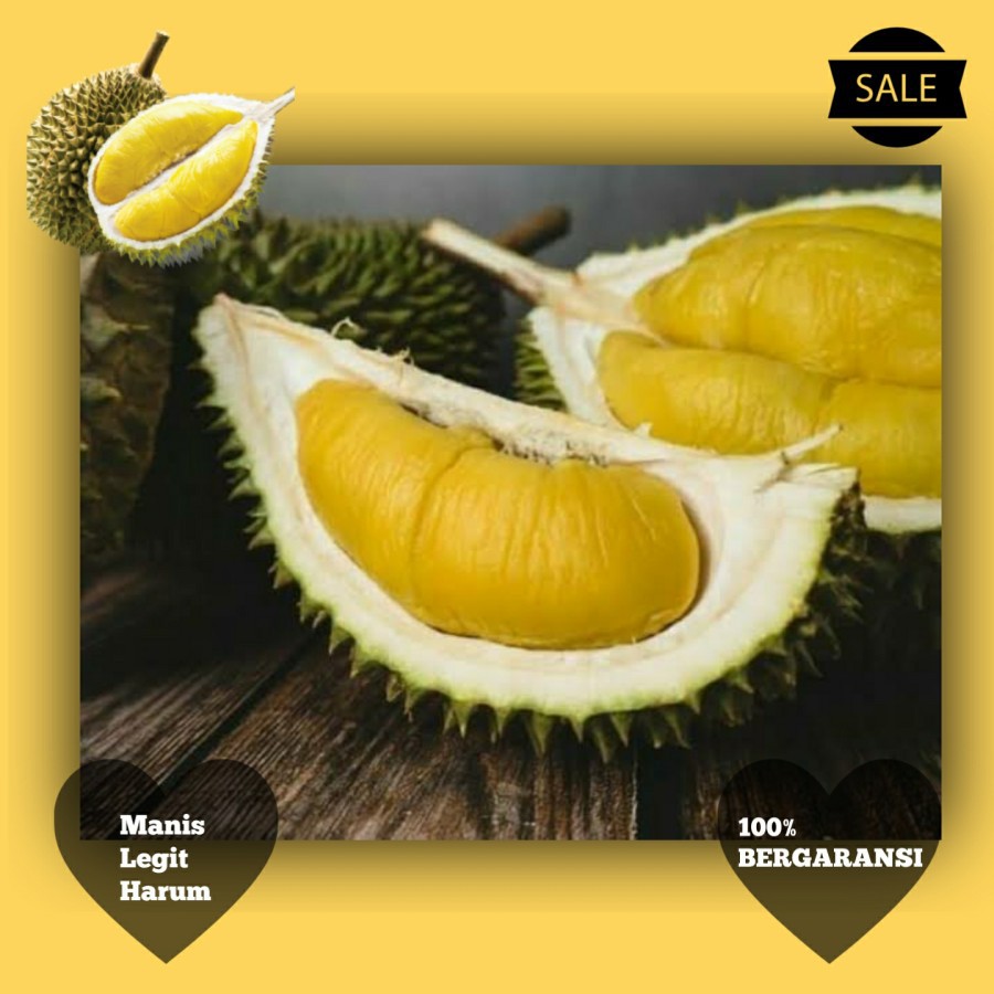 Jual Duren / Durian Sultan Musang King 1 Buah Utuh (Bukan durian kupas) - JonsMart [KHUSUS ...