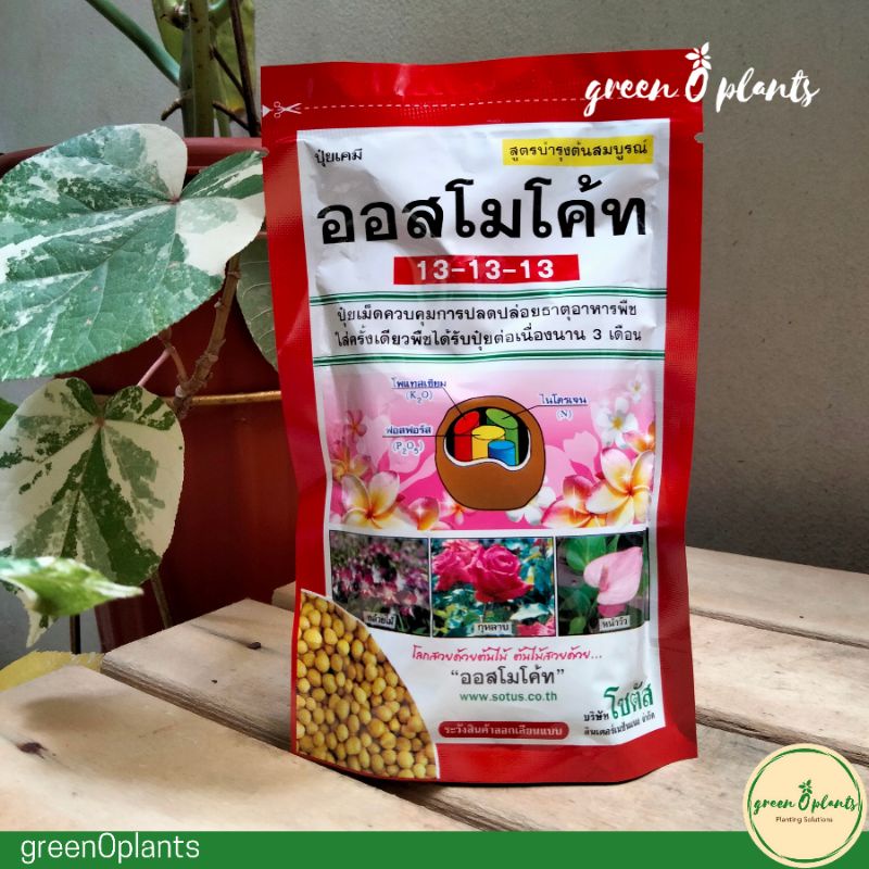 Jual Pupuk Dekastar Thailand 13 - 13 - 13 100 gr | Shopee Indonesia
