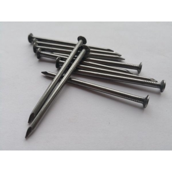 Jual PAKU RAJA 250 GRAM - PAKU BESAR 5,6,7,10,12 CM | Shopee Indonesia