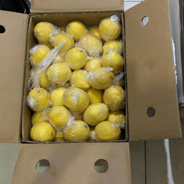 Jual BUAH LEMON 1 KG/FRESH LEMON/LEMONADE/VITAMIN C/LEMON IMPORT ...