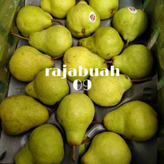 Jual Buah Pir Hijau / Pear Pakham / Pir Jambu Murah 1kg Fresh | Shopee ...