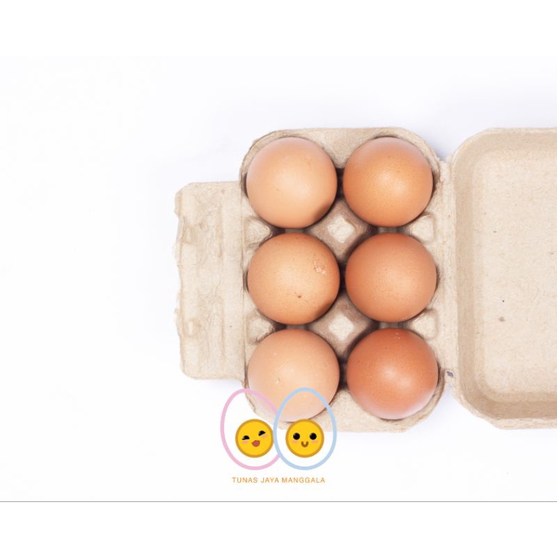 Jual Paper egg tray/tray telur kertas 6 lubang sudah ada pengunci ...