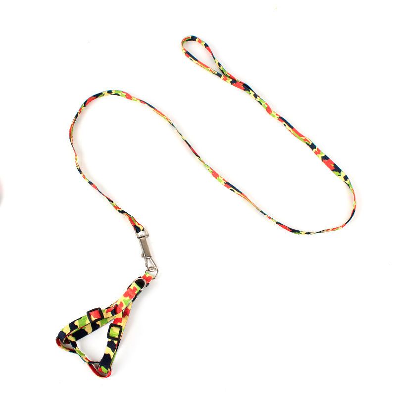 Jual Tali pet Warna berbilang Cheap dan mudah digunakan Tali Tuntunan ...