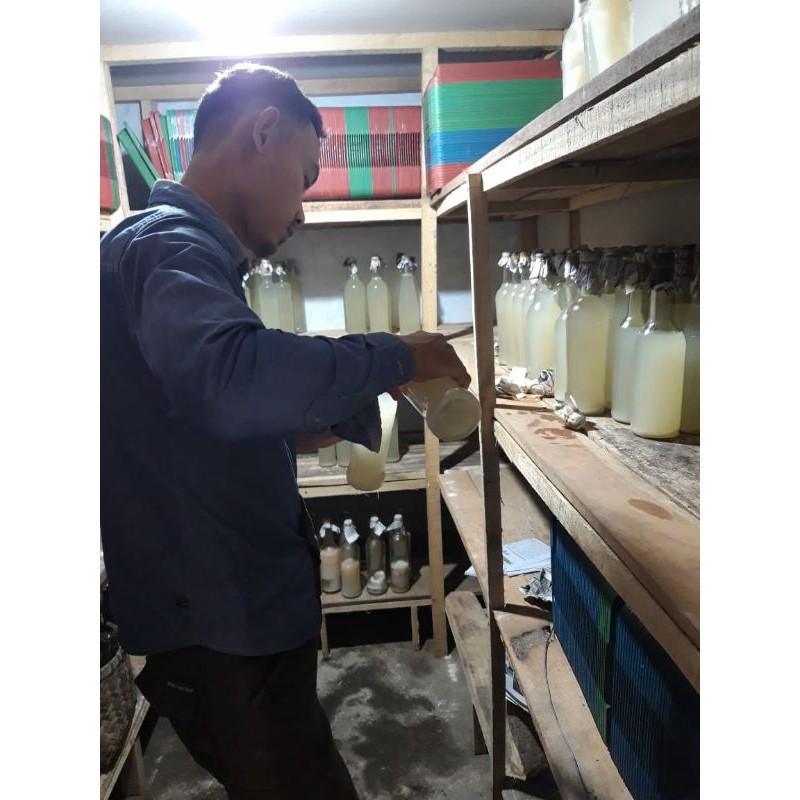 Jual Bibit nata de coco /Starter nata de coco Acetobacter Xylinum 500ml ...