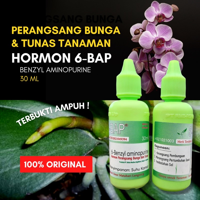 Jual Hormon 6 BAP - Perangsang Bunga dan Tunas Tanaman | Shopee Indonesia