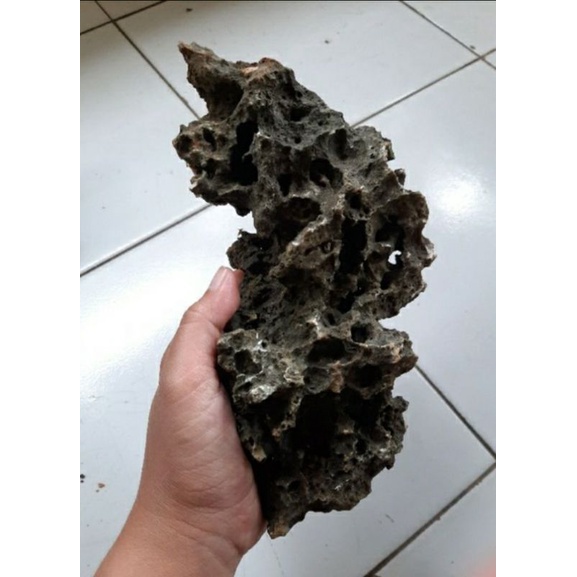 Jual JENIS BATU GUNUNG,BATU BONSAI, BATU AQUASCAPHE | Shopee Indonesia