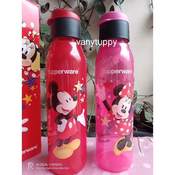 Jual botol minum botol eco fancy tupperware 500ml 1pcs | Shopee Indonesia