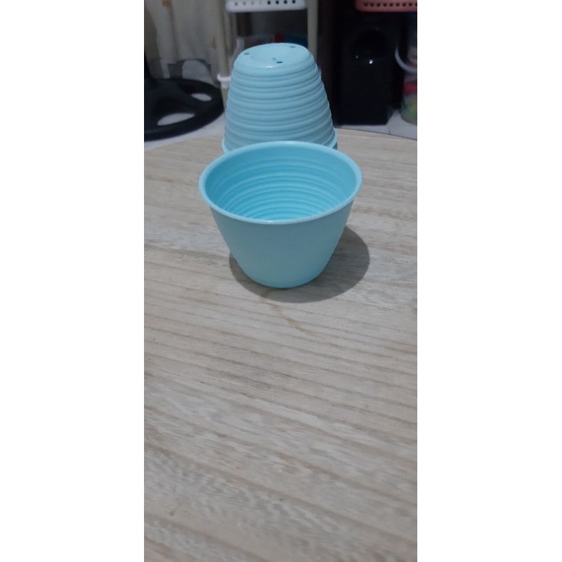 Jual Pot Sekulen Kaktus model Tawon 8cm Ecer | Shopee Indonesia