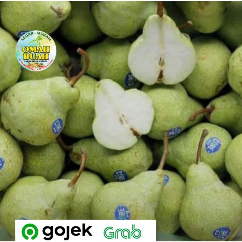 Jual Pear Packham Pir Jambu Hijau | Shopee Indonesia