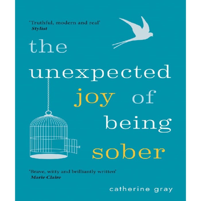 Jual Buku - The Unexpected Joy of Being Sober by Catherine Gray ...