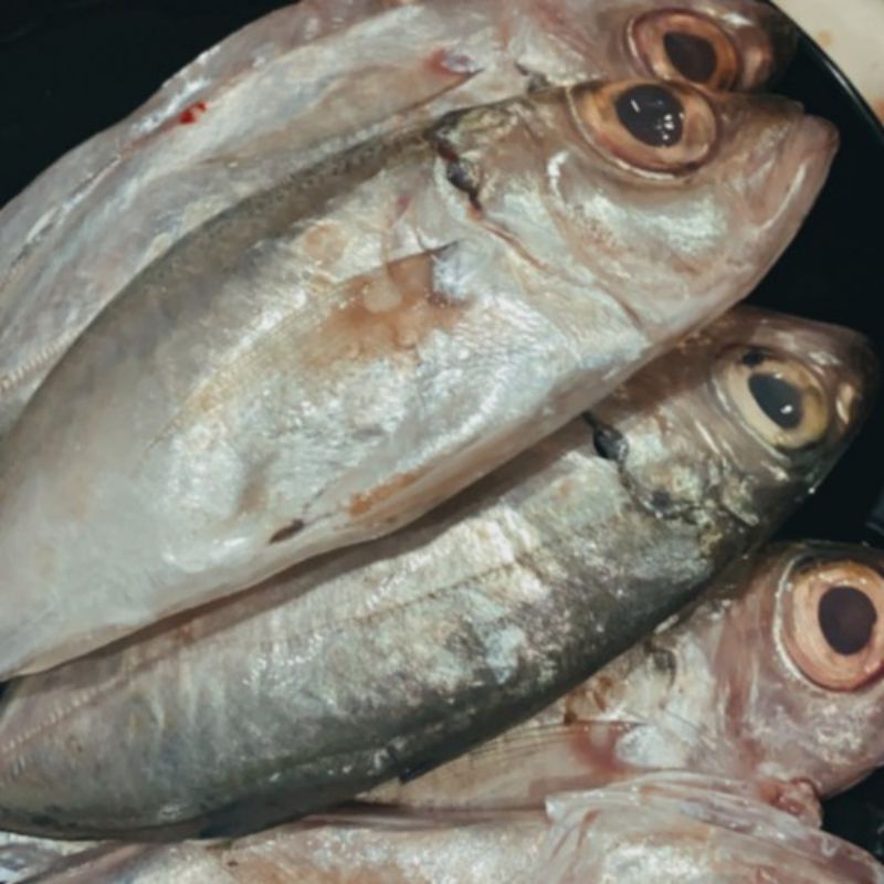 Jual Kembung Mata Belo 500g | Shopee Indonesia