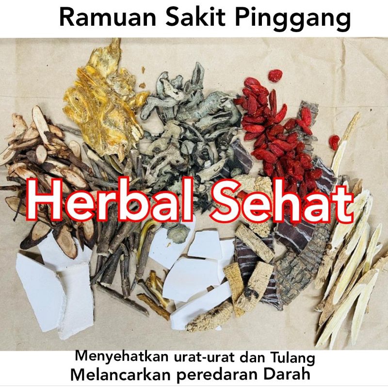 Jual Ramuan Obat Sakit Pinggang - Menyehatkan Urat-urat Saraf dan ...