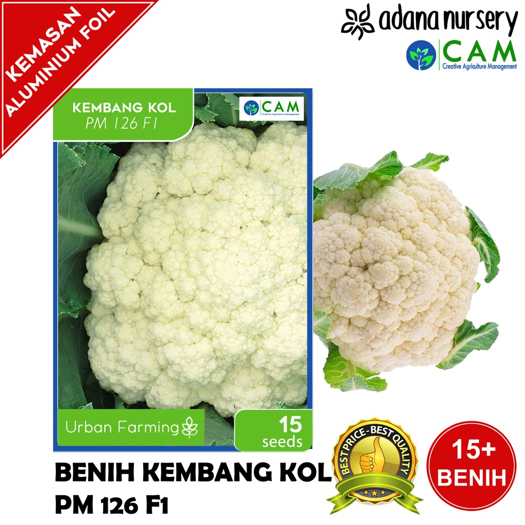 Jual Benih / Biji Kembang Kol - Bunga Kol - PM 126 F1 - Berkualitas ...