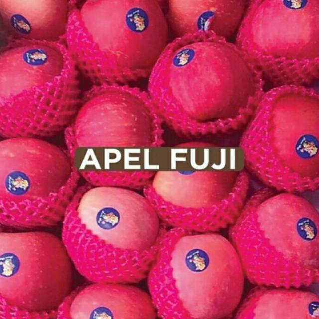 Jual APEL FUJI SUNMOON PREMIUM 1 KG | Shopee Indonesia