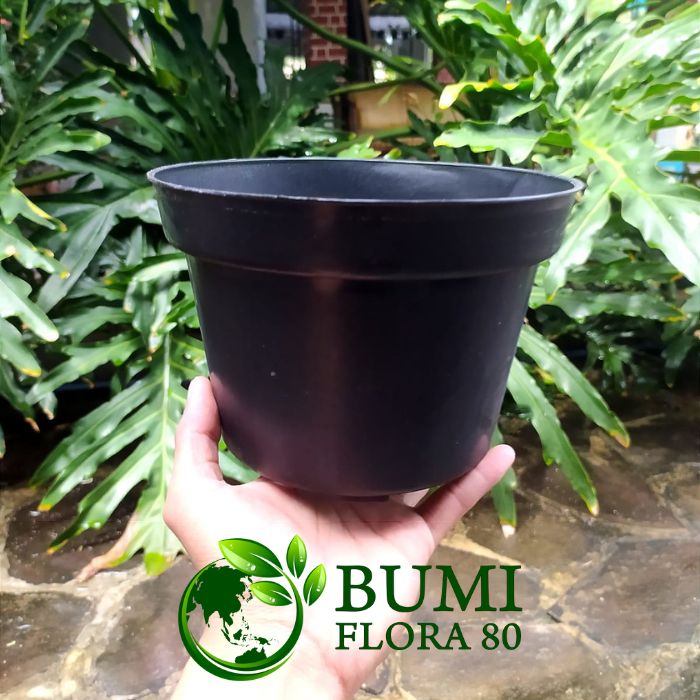 Jual Pot Koi 17 hitam Polos / Pot Bunga / Pot Plastik | Shopee Indonesia