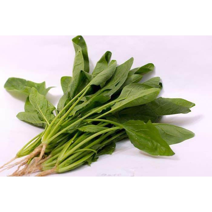 Jual Biji / Benih / Bibit / Seed Bayam Jepang Horenso / Bayam Besar ...