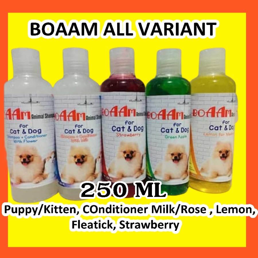 Jual SHAMPOO KUCING KITTEN BOAAM 250ML SHAMPOO ANJING DOG CAT SHAMPO ...