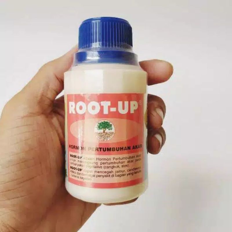 Jual root up hormon perangsang akar 100gram | Shopee Indonesia