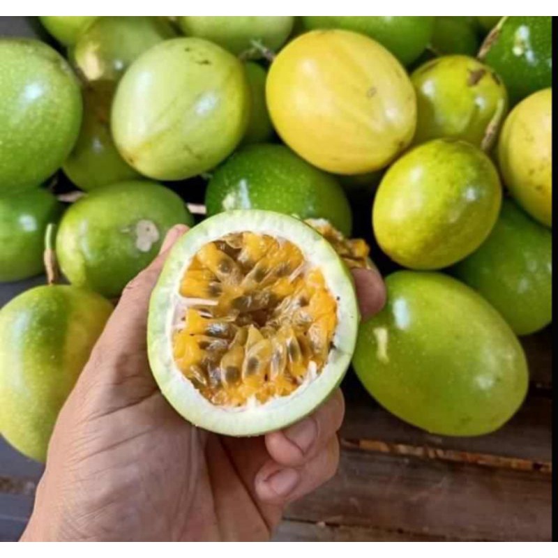 Jual Buah markisa kuning segar matang langsung dari pohon 1kg | Shopee Indonesia