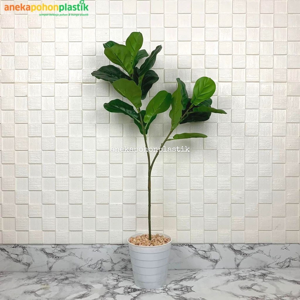 Jual READY Pohon Artificial Plastik Daun Ketapang T80 Latex Pot Ulir ...