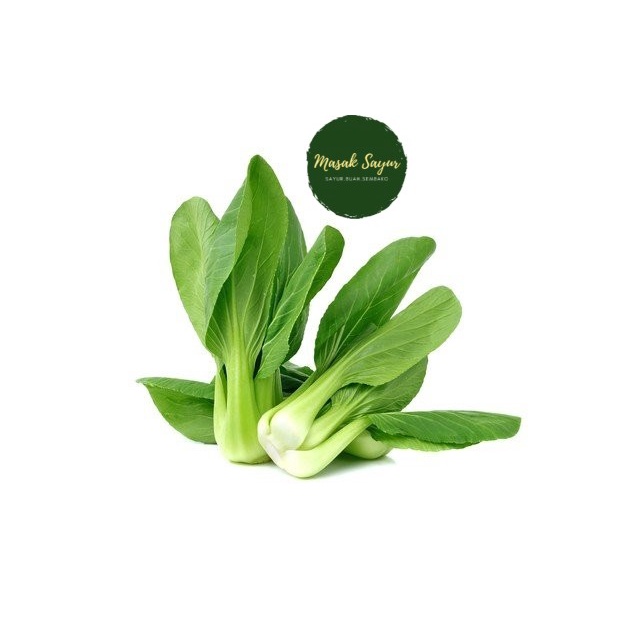 Jual Pakcoy Segar 250gr | Shopee Indonesia