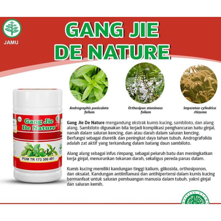 Jual Kapsul Gang Jie Gangji Gangjie Gongji De Nature 100% Original ...