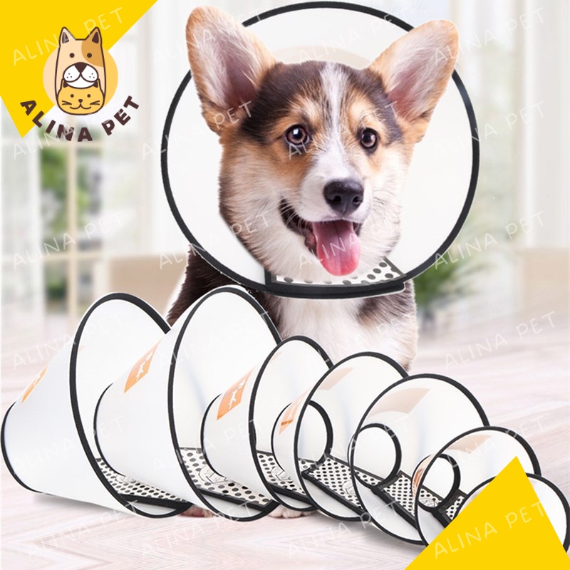 Jual Elizabeth Collar Corong Anjing Corong Kucing Pet Protection Cover ...