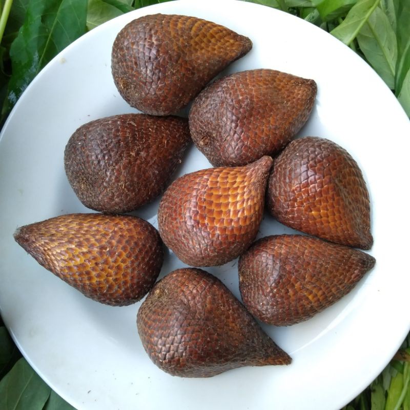 Jual Salak Pondok 1 Kg | Shopee Indonesia