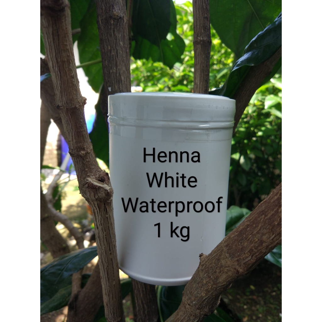 Jual HENNA WHITE WATERPROOF BODY PAINTING KILOAN | Shopee Indonesia