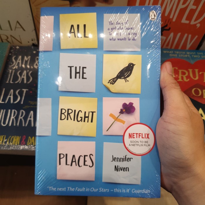 Jual all the bright places, jennifer niven | Shopee Indonesia