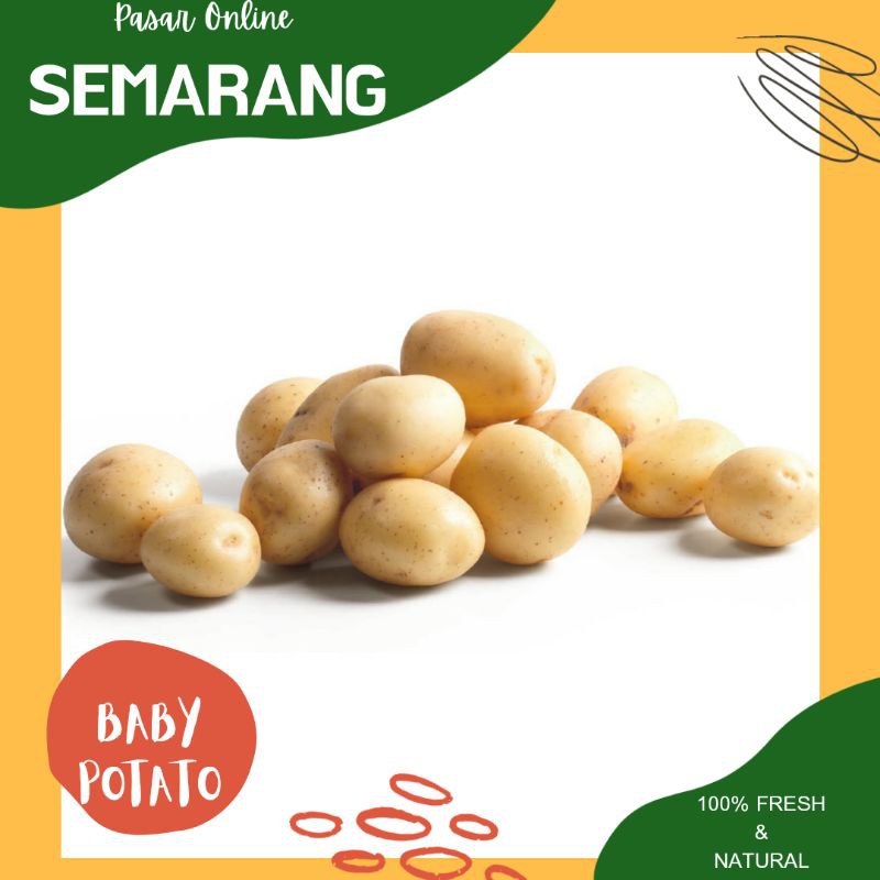 Jual Sayur Sayuran Segar dan Fresh / Baby Potato / Kentang / Kenthang ...