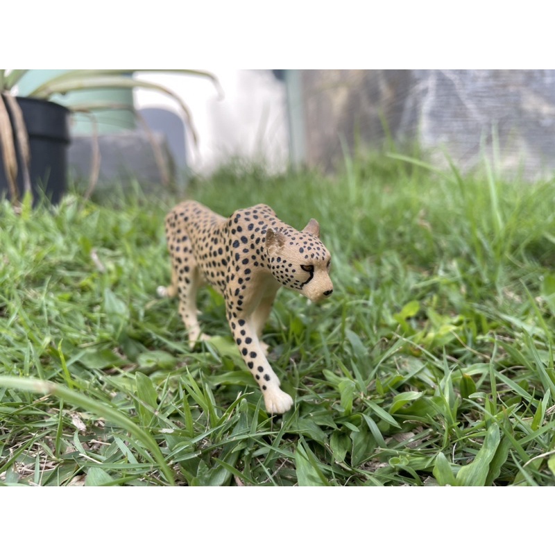 Jual Mojo Fun Cheetah Male Animal Figure (Mainan Hewan Cheetah Jantan ...