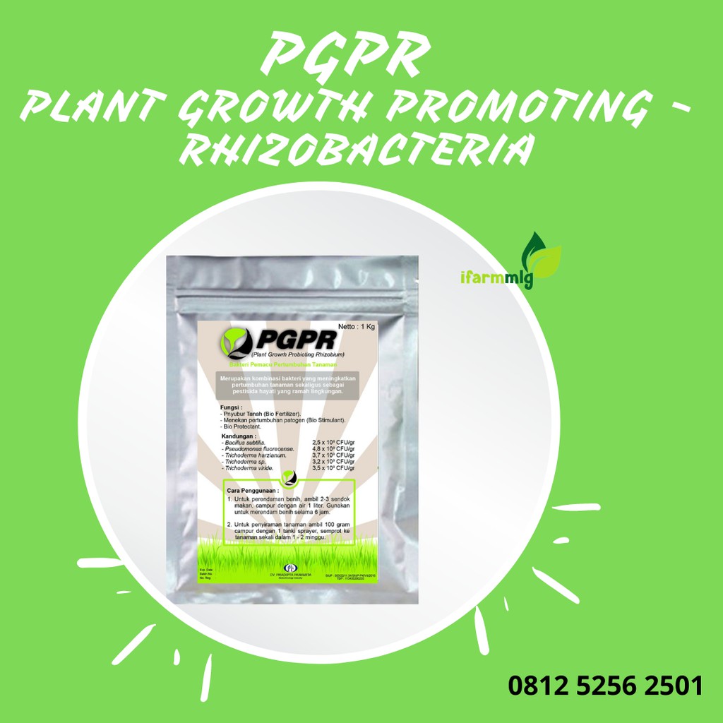 Jual PGPR - Plant Growth Probioting Rhizobium - Pupuk Pertumbuhan ...