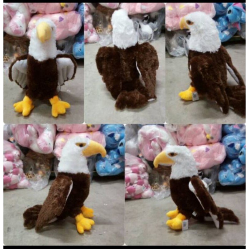 Jual Boneka Karakter Burung Elang Ukuran 40Cm. | Shopee Indonesia