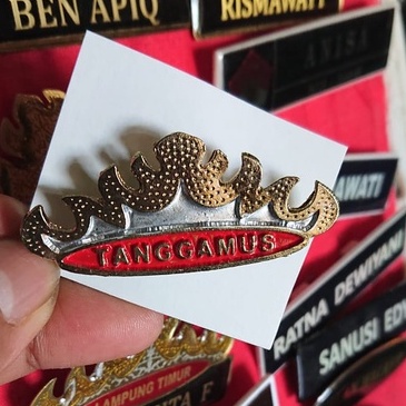 Jual Pin Bros Siger Tanggamus atribut ASN emas | Shopee Indonesia